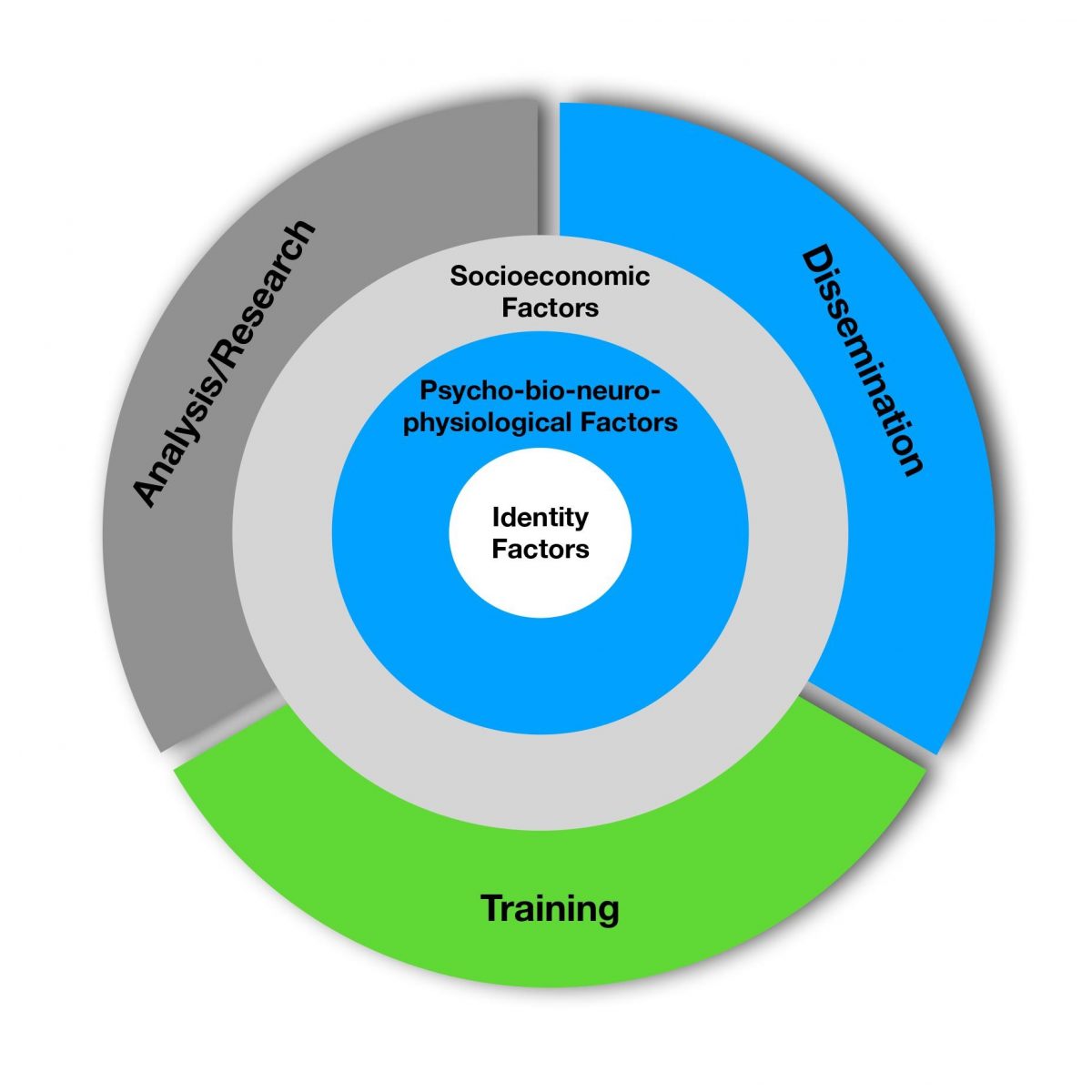 Intersectionality Strategy - Network for Strategic Analysis (NSA)
